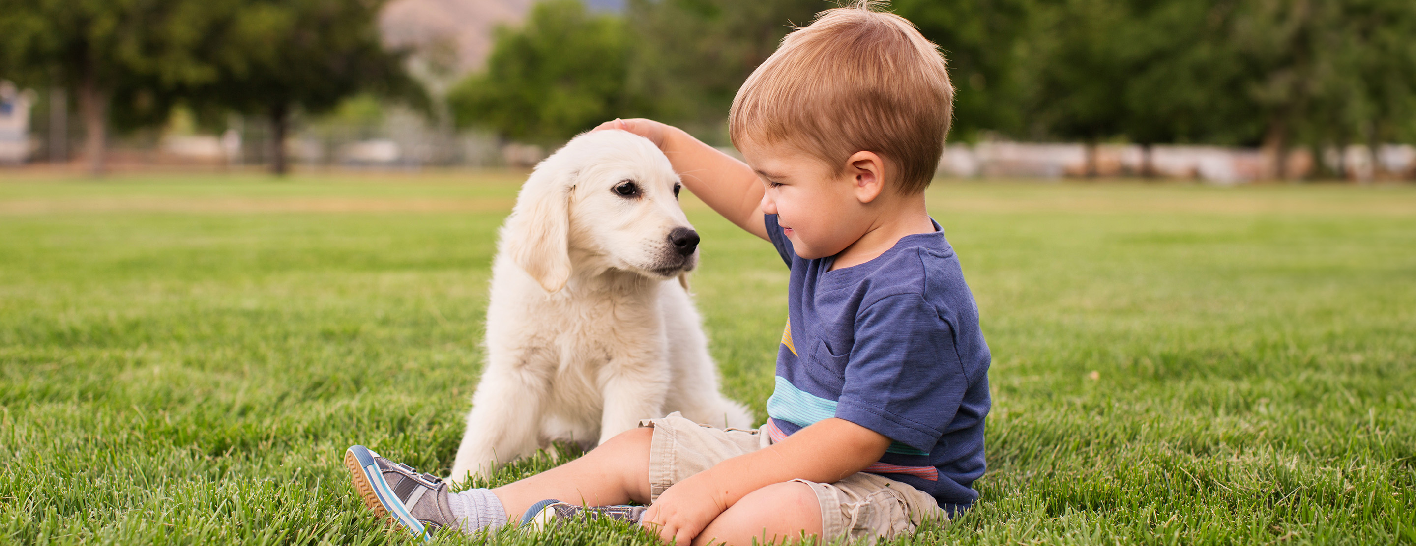 Refer a Patient | UCSF Benioff Children's Hospitals