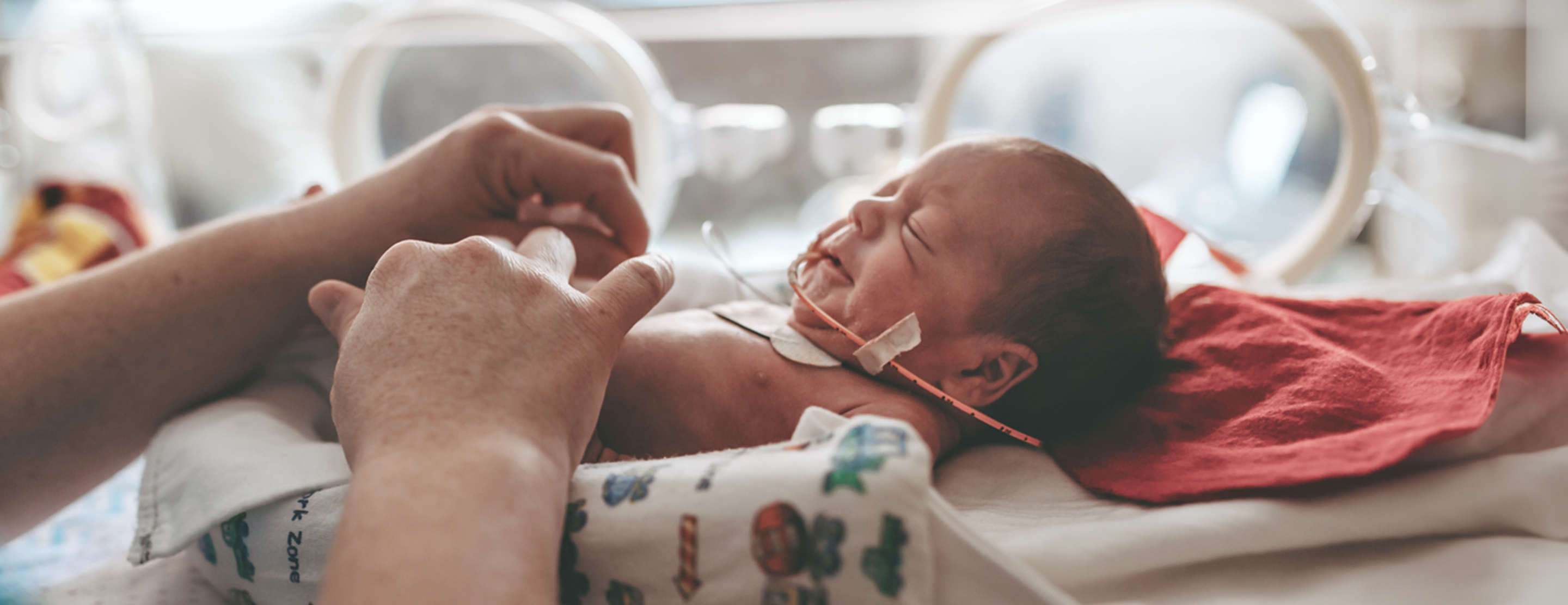 Patient Outcomes at the Neonatal Cardiovascular Center of Excellence ...
