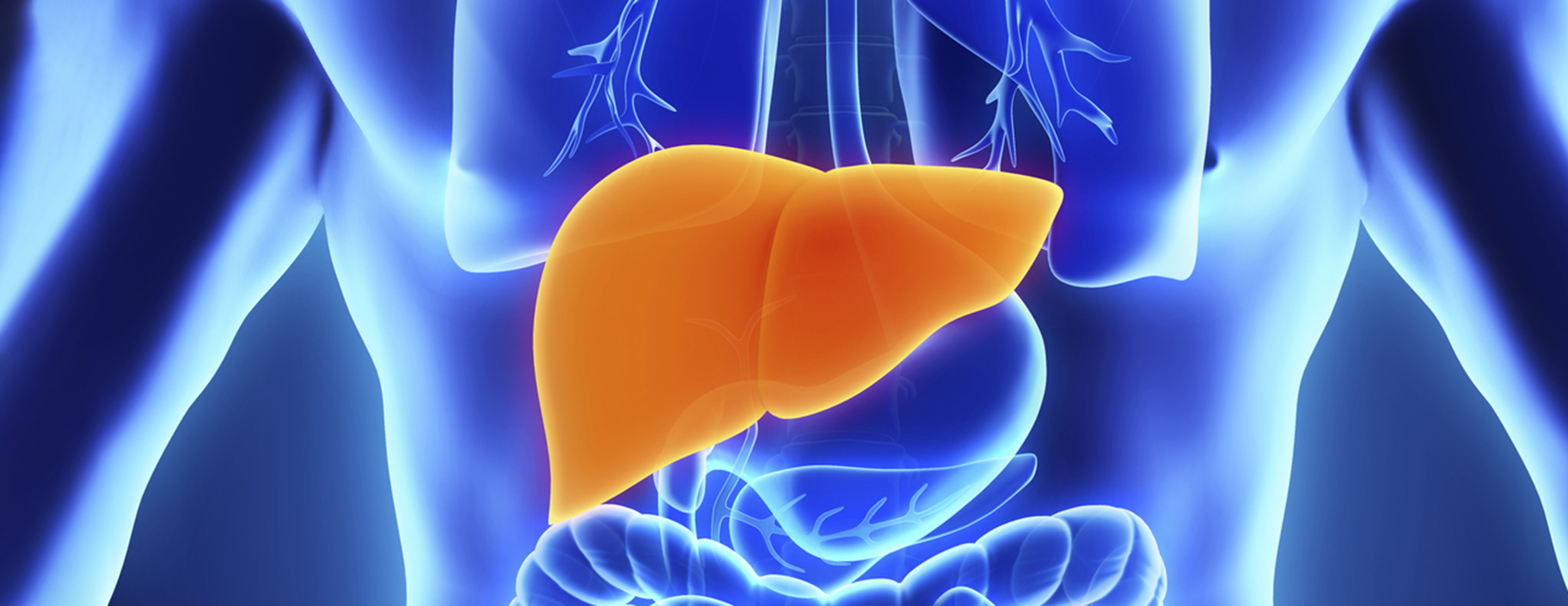 Liver Donors: Evaluation to Become a Donor | Patient Education | UCSF ...