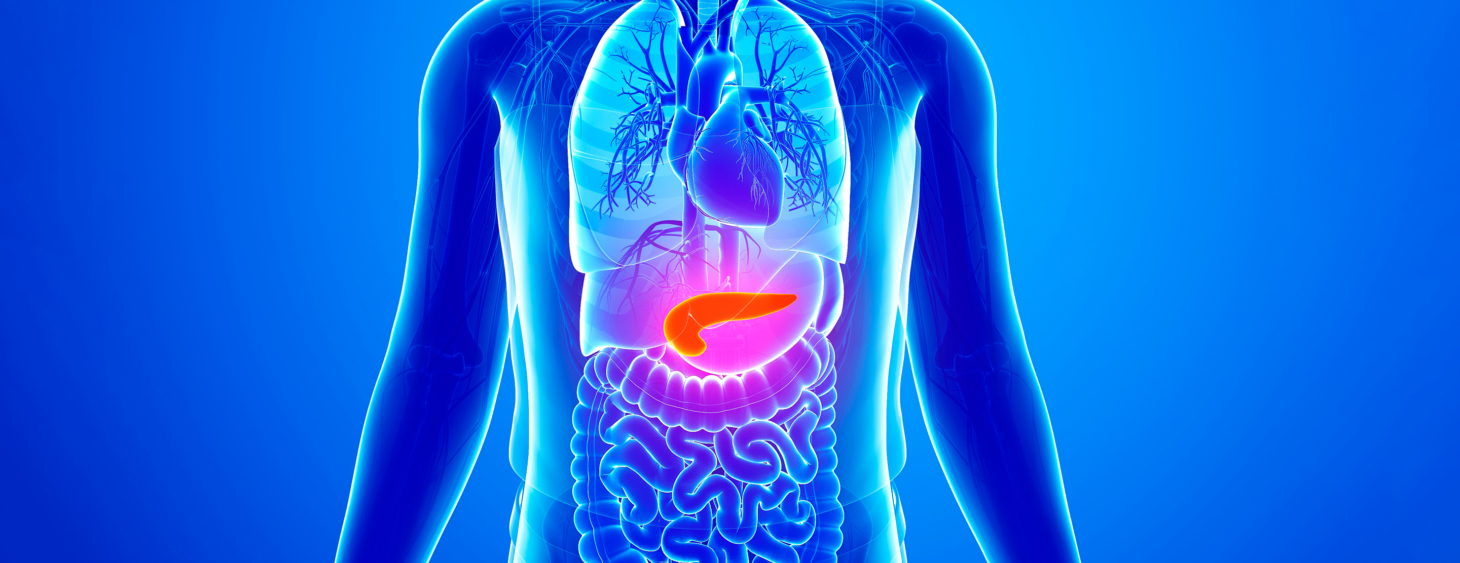 Pancreas Injuries & Home Care | Patient Education | UCSF Benioff ...