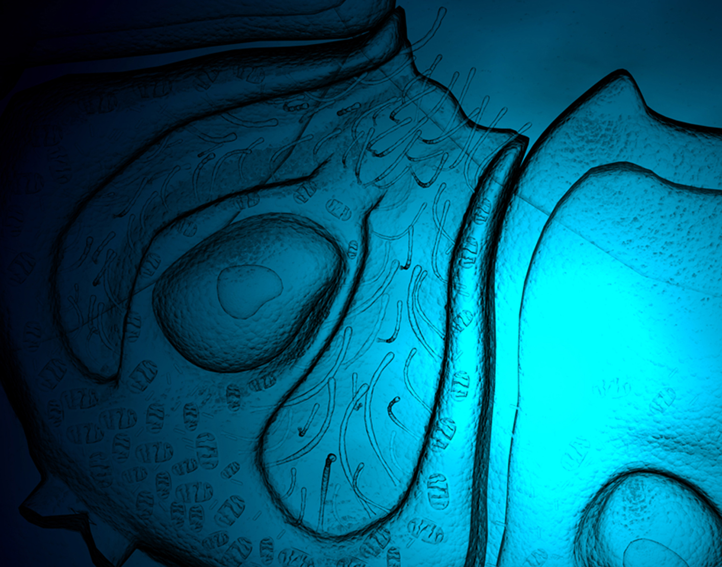 Antiparietal cell antibody test