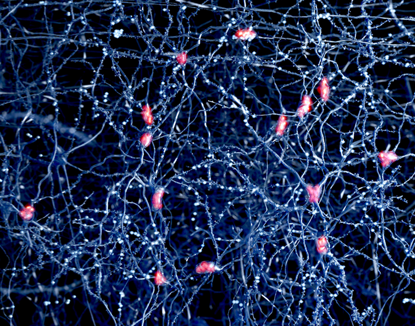 BAER - brainstem auditory evoked response