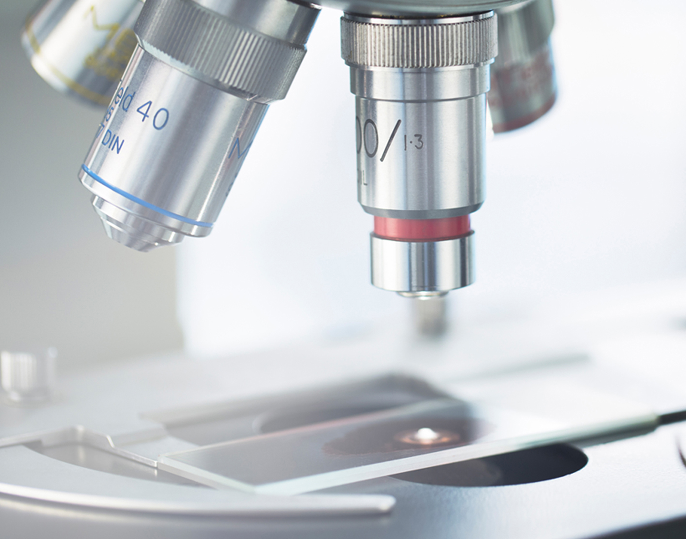 Ear drainage culture