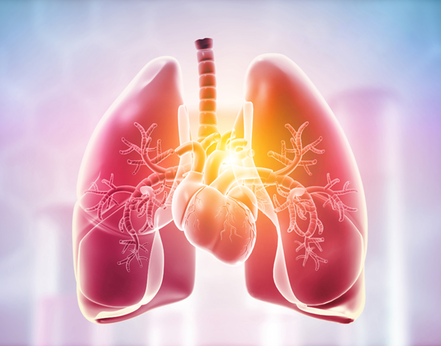 Lung Gallium Scan Lung Gallium Scan