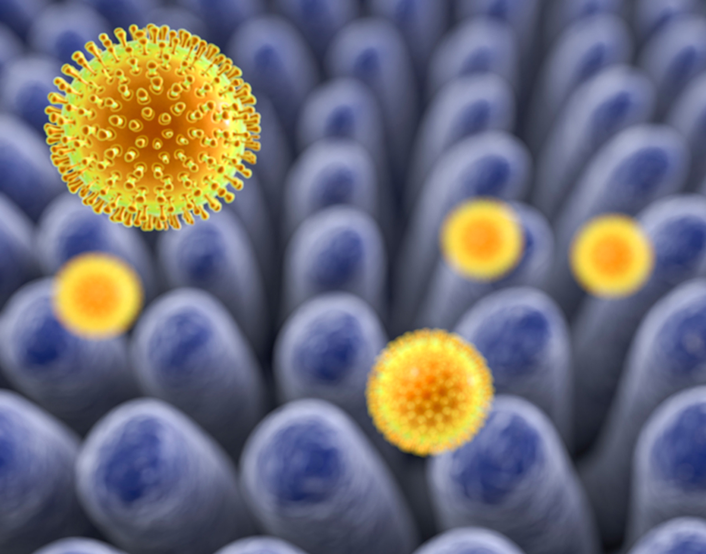 Rotavirus antigen test