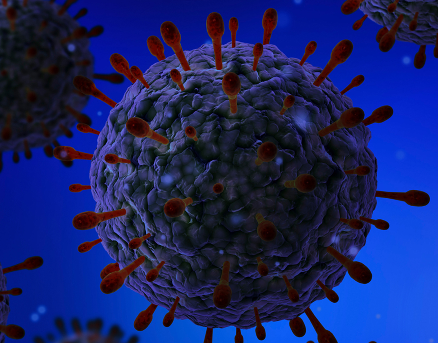 Serum herpes simplex antibodies